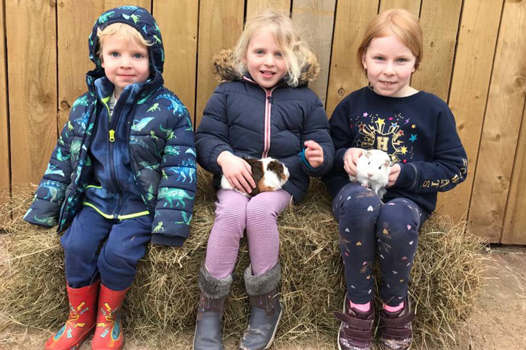 Animals - Occombe Farm