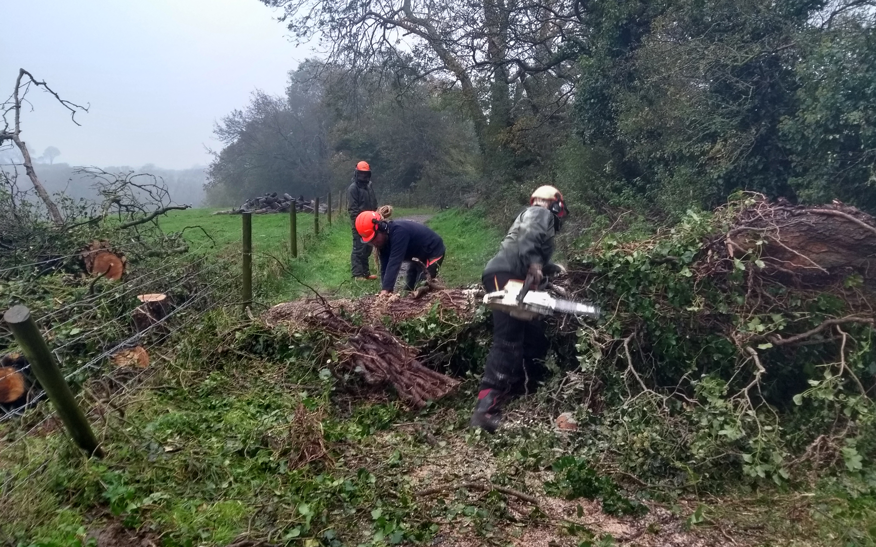 Occombe Farm - Farm Attraction, Farm Shop, Cafe & Nature Trail ...