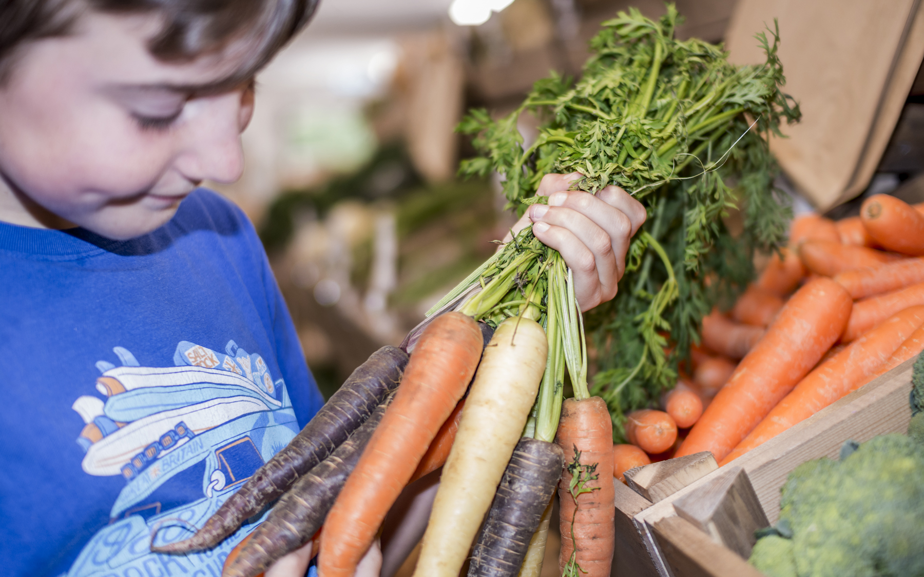 About Occombe - Occombe Farm