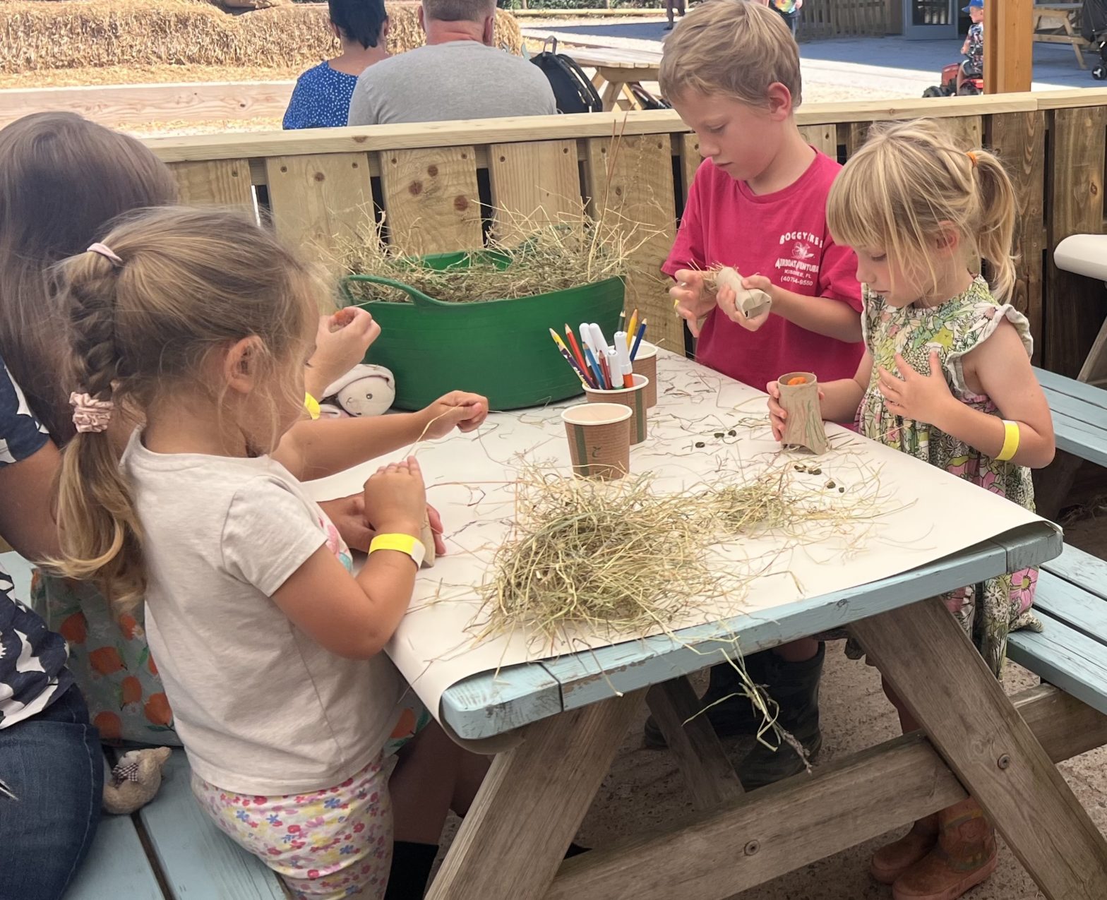 Occombe Farm - Farm Attraction, Farm Shop, Cafe & Nature Trail ...