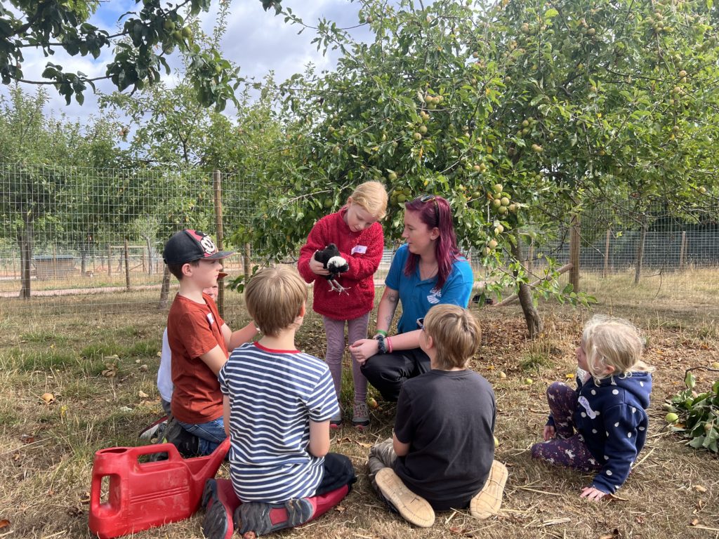 Occombe Farm - Farm Attraction, Farm Shop, Cafe & Nature Trail ...