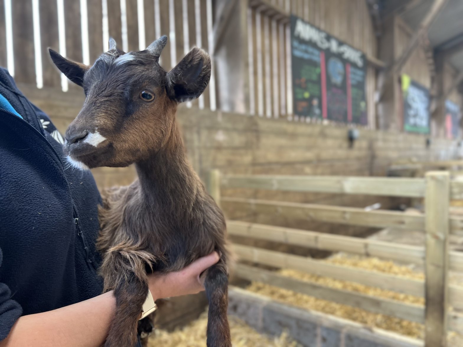 Celebrate with us! - Occombe Farm