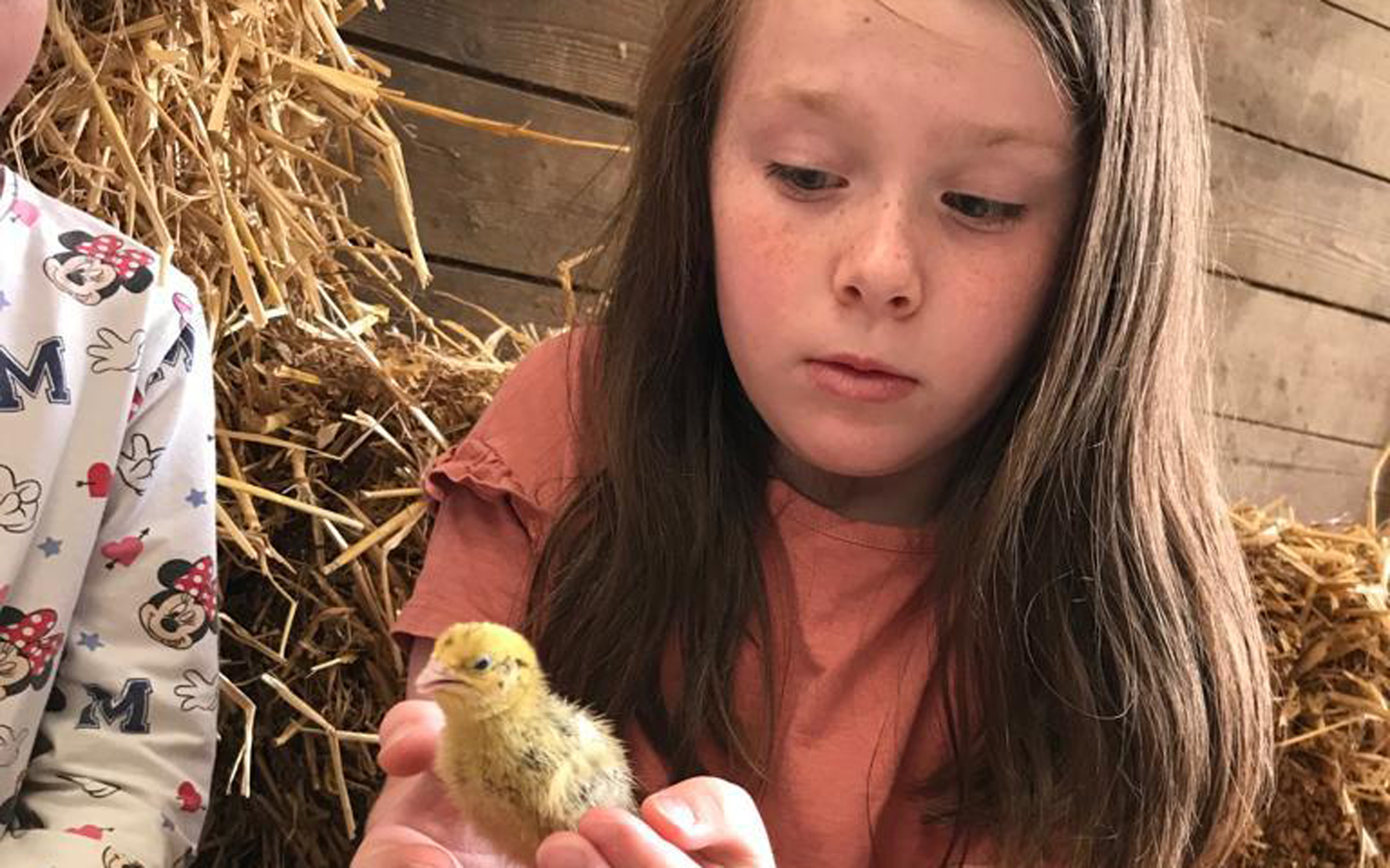 Terms of Entry - Occombe Farm