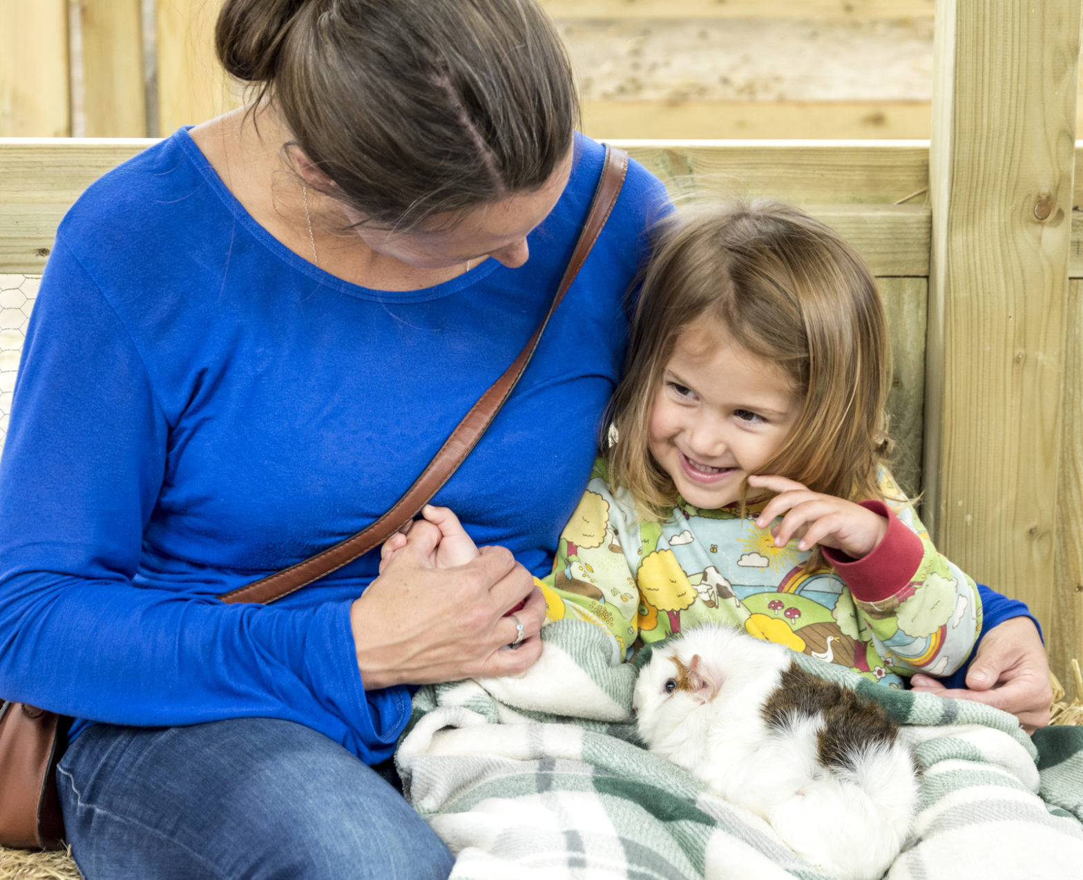 Occombe Farm - Farm Attraction, Farm Shop, Cafe & Nature Trail ...