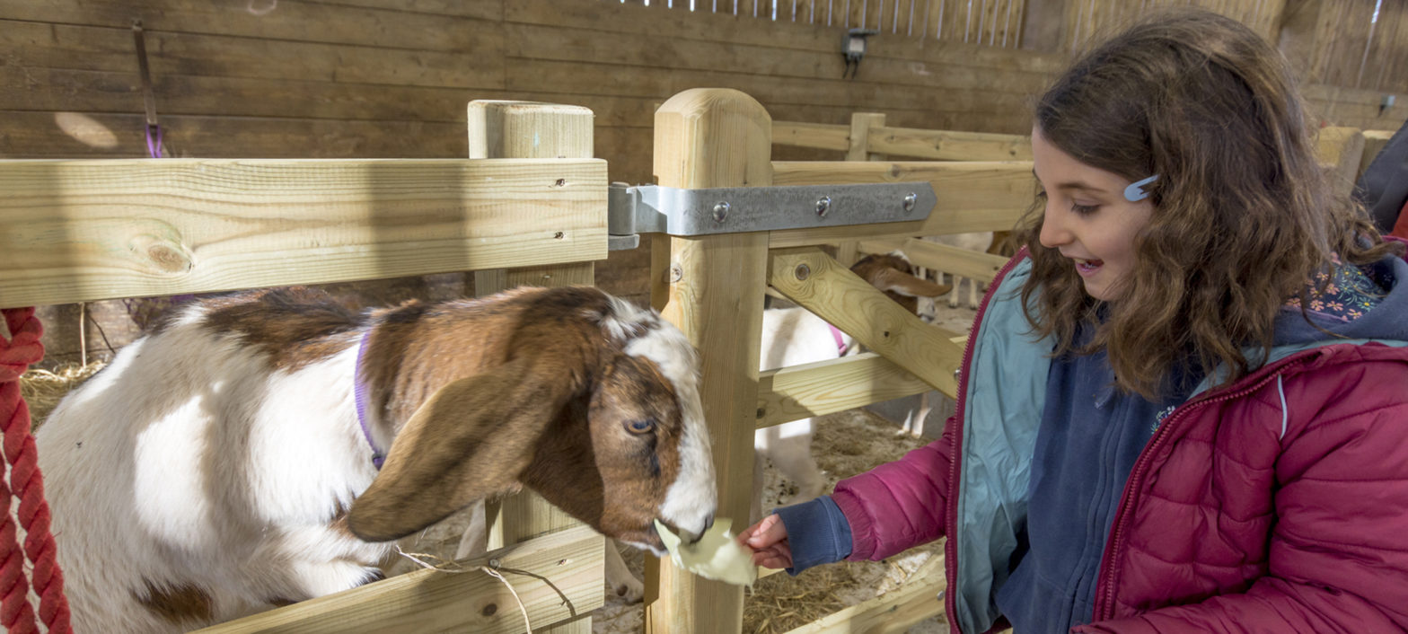 Occombe Farm Park & Play - Farm Attraction - Indoor Play - English Riviera