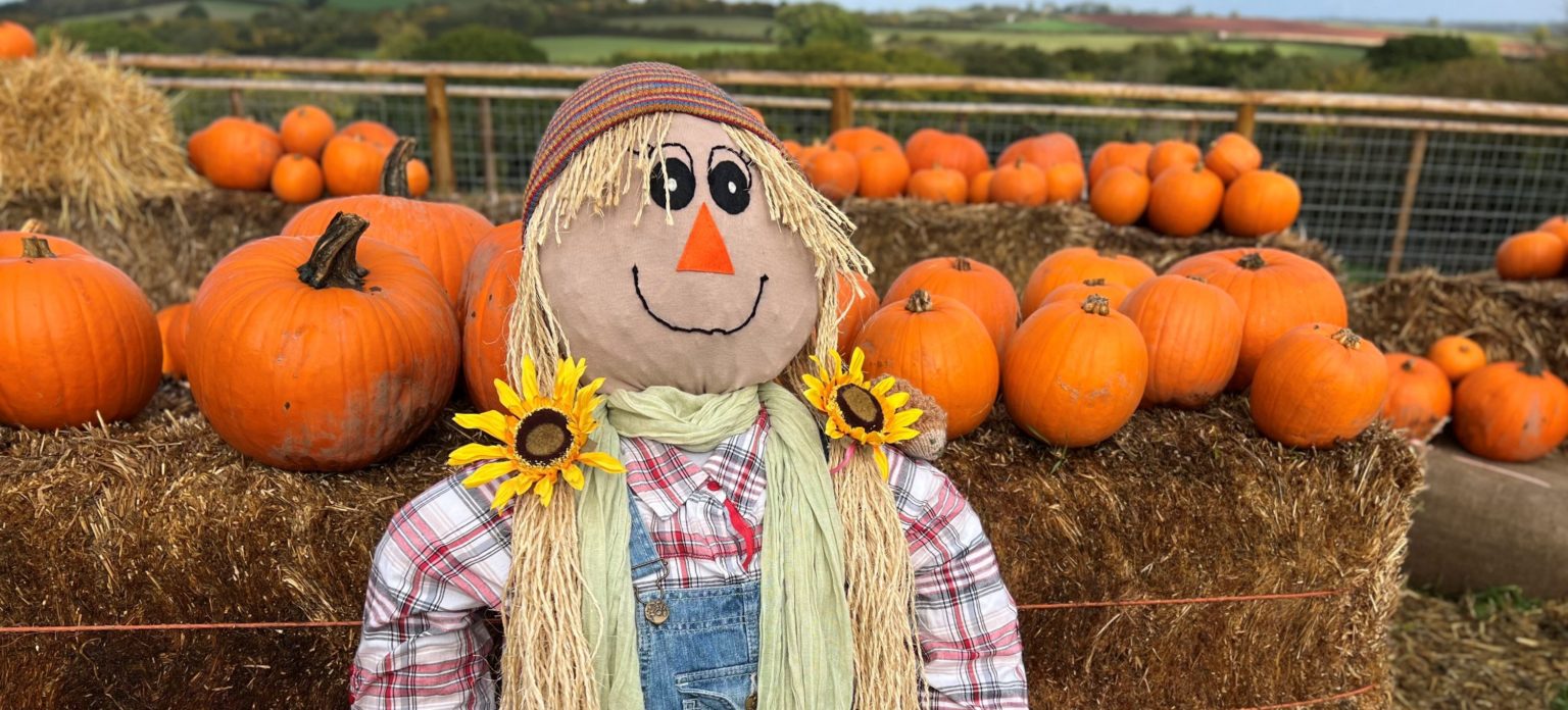 Occombe Farm - Farm Attraction, Farm Shop, Cafe & Nature Trail ...