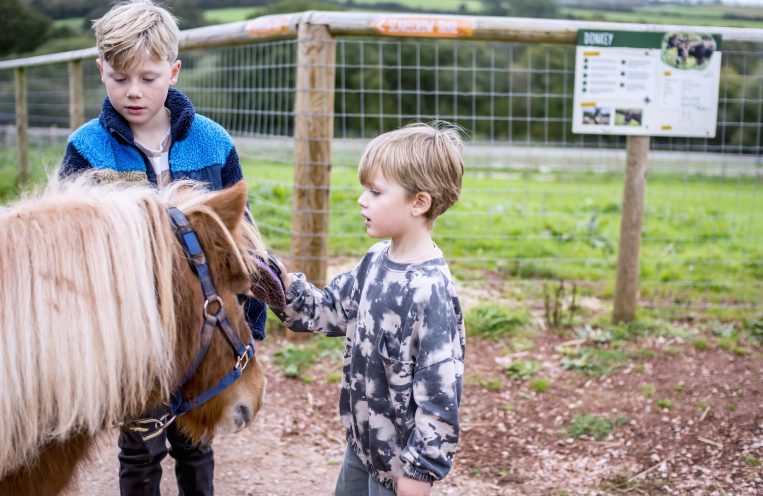 Occombe Farm - Farm Attraction, Farm Cafe & Nature Trail - English Riviera