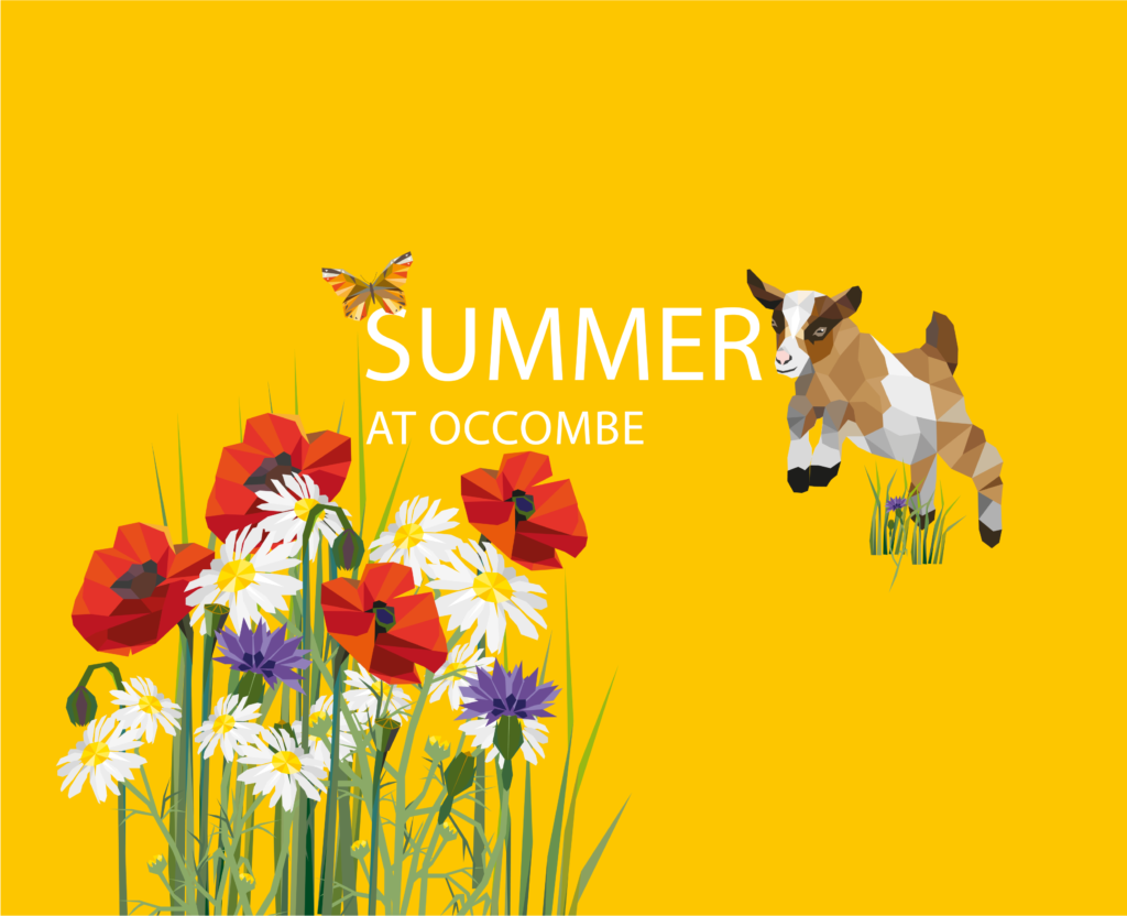 Occombe Farm Park & Play - Farm Attraction - Indoor Play - English Riviera