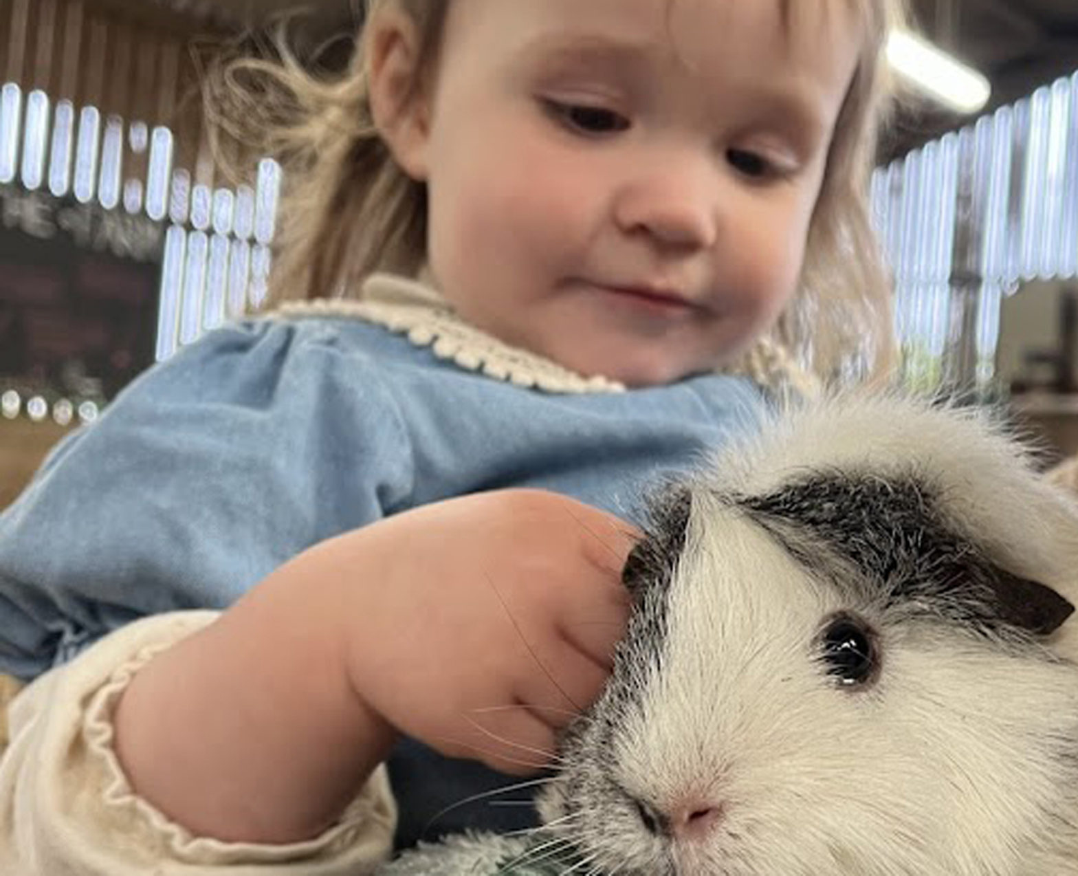 Occombe Farm Park & Play - Farm Attraction - Indoor Play - English Riviera