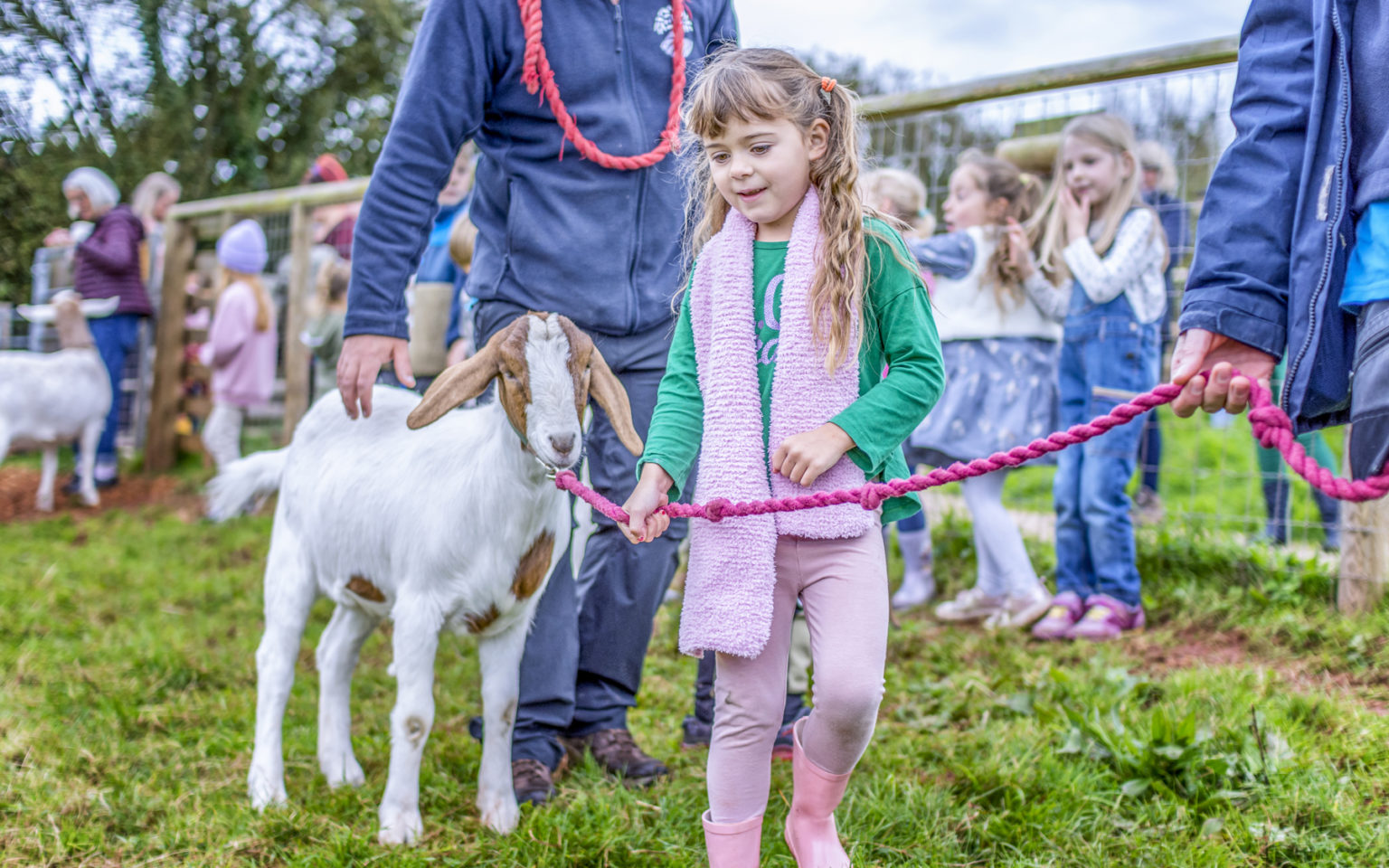 Lots more Summer fun on the farm - Occombe Farm
