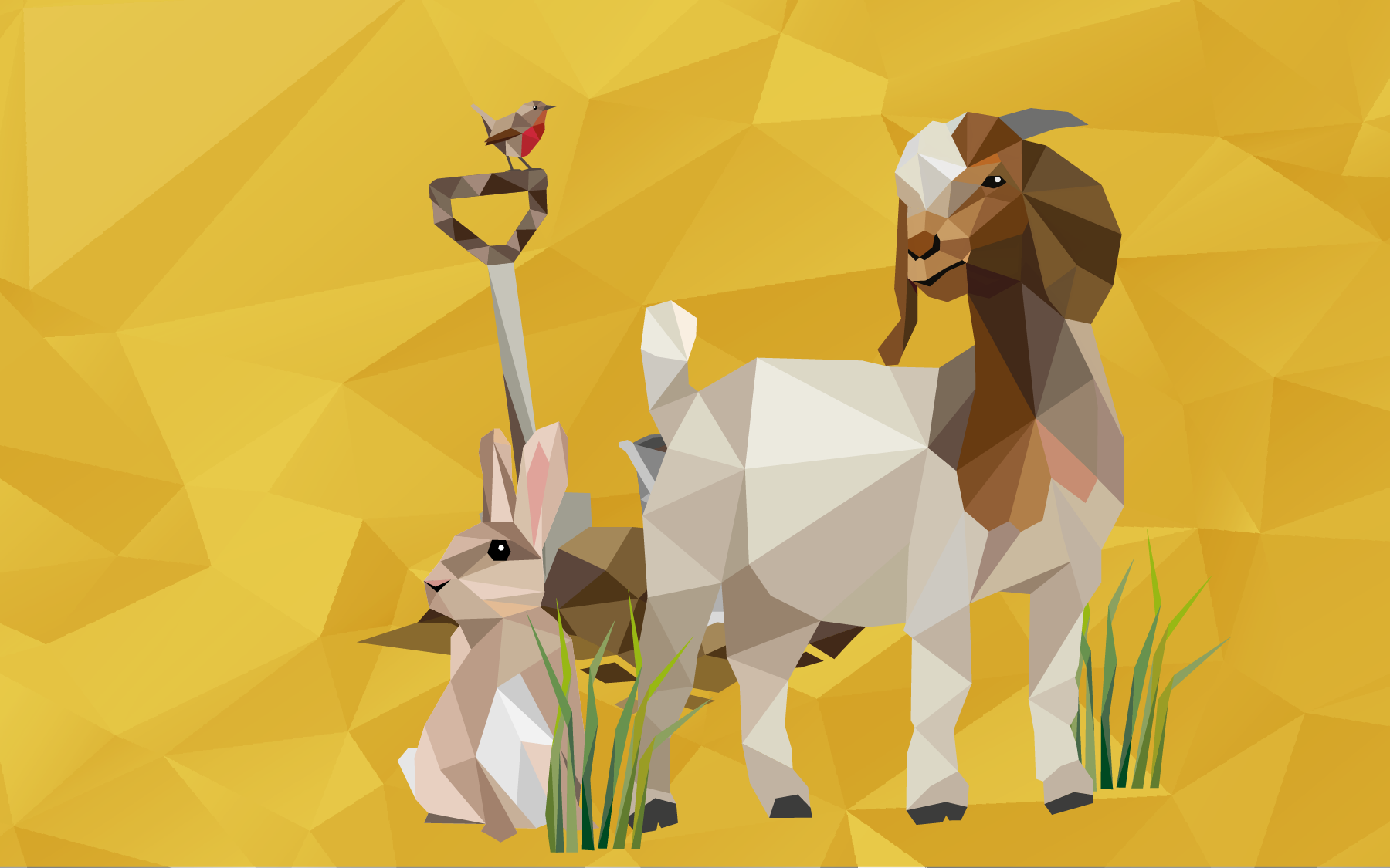 Occombe Farm - Farm Attraction, Farm Cafe & Nature Trail - English Riviera